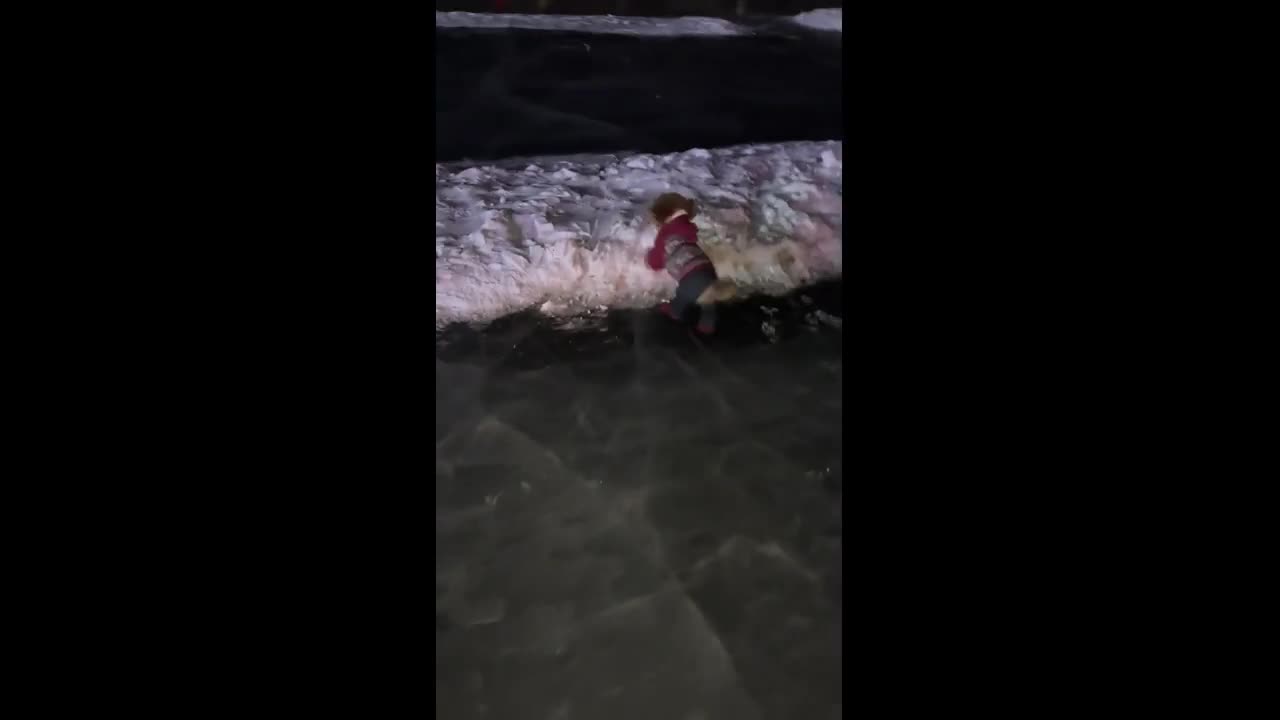 Dog enjoys a playful nighttime run on frozen ground in Heilongjiang, China