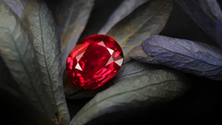 Legenda batu ruby Burma: energi kuat dan pesona spiritual yang diyakini ...