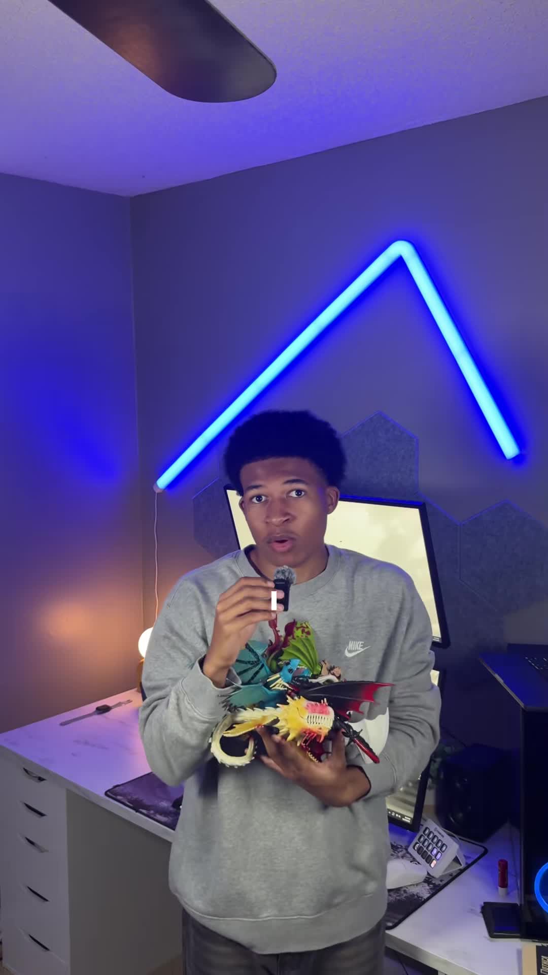 Creative collectibles room decor ideas for HTTYD fans