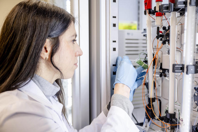 Insights into the logistics of cellular waste disposal