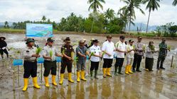 Kementan sulap Solok jadi pusat pemulihan pertanian Sumbar lewat proyek ...