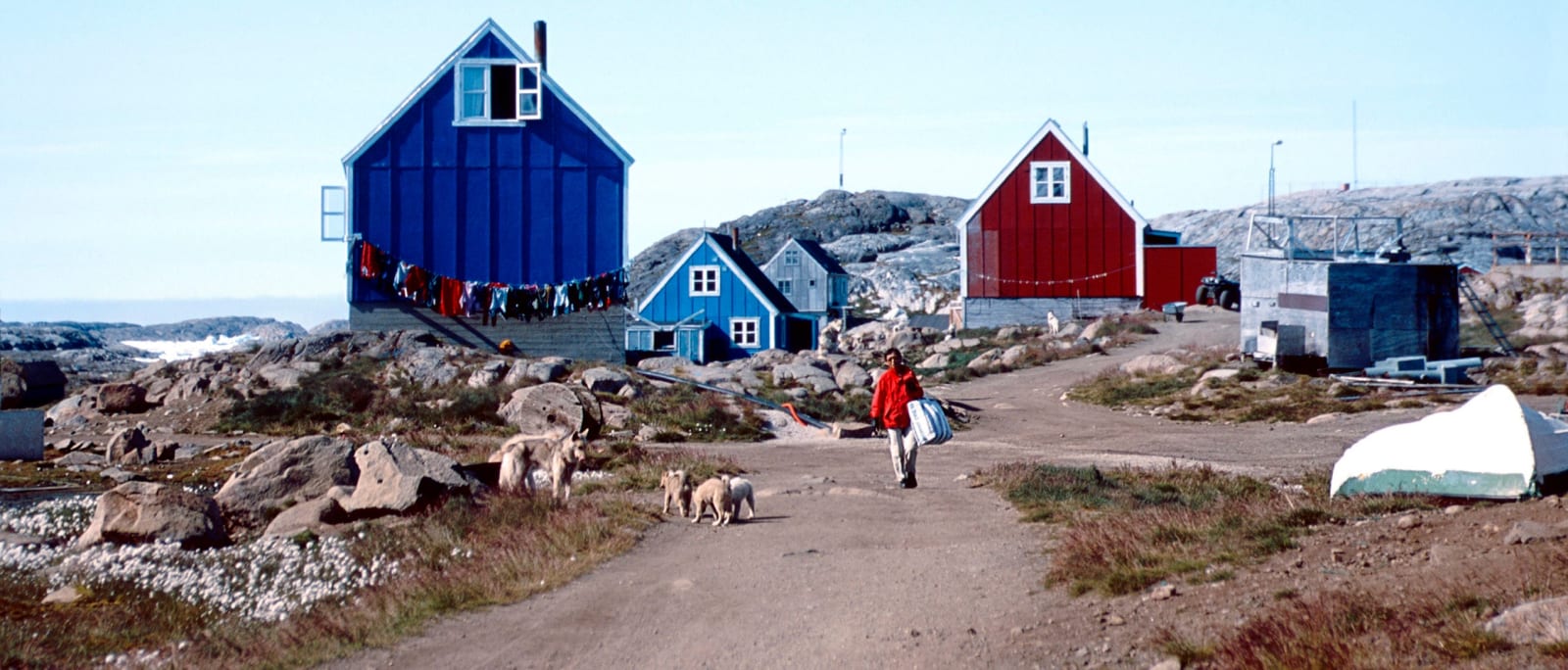 Greenlander opposes America taking over his island because he hunts ...