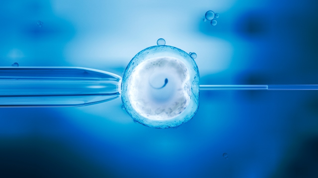 Why IVF doesn't always work, even when everything seems ‘perfect’