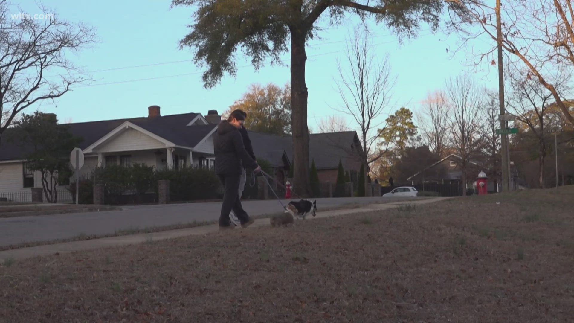 Columbia could ease some short-term rental rules