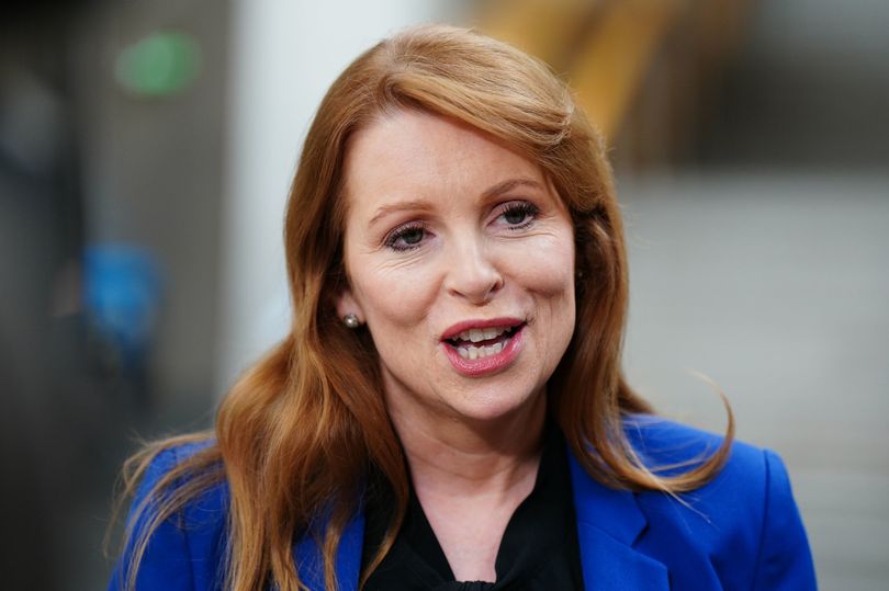 Dominatrix warns sex workers will lose 'basic survival techniques' if ...