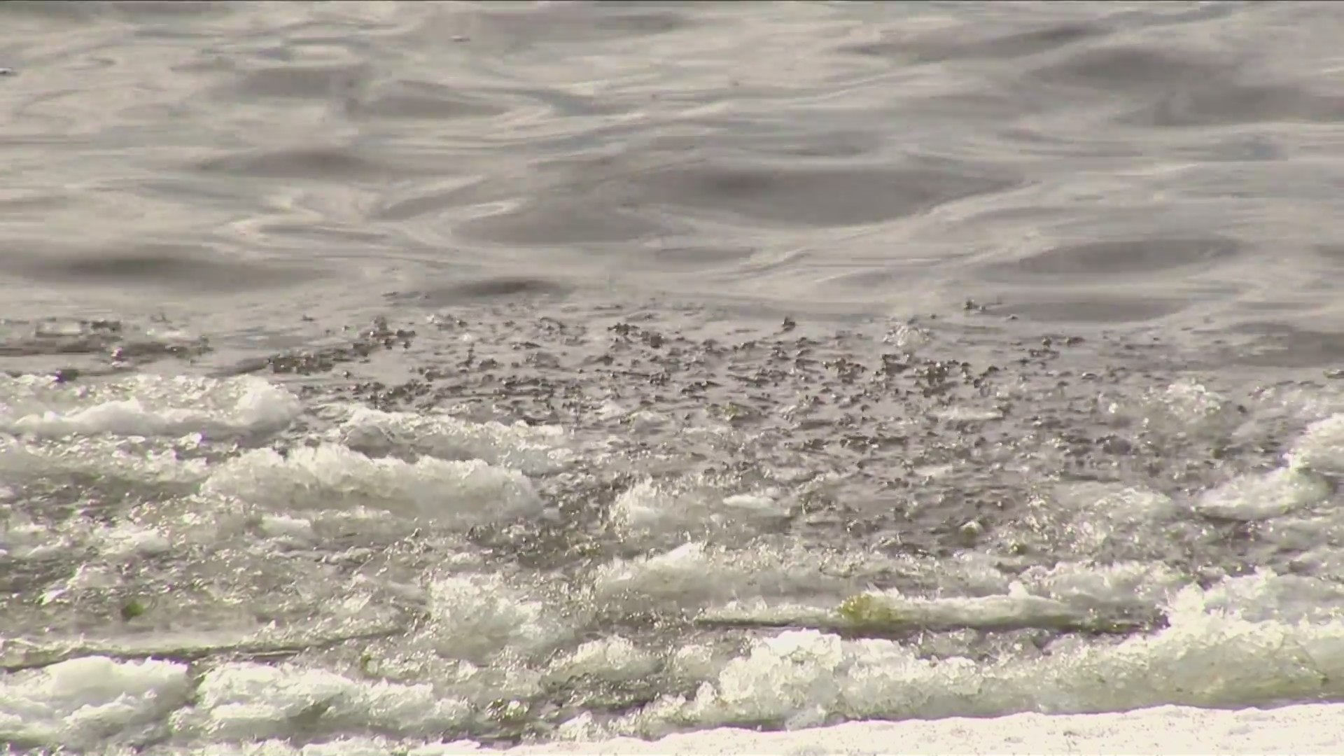 Warm Weather Continues to Take Toll on Siouxland Lakes