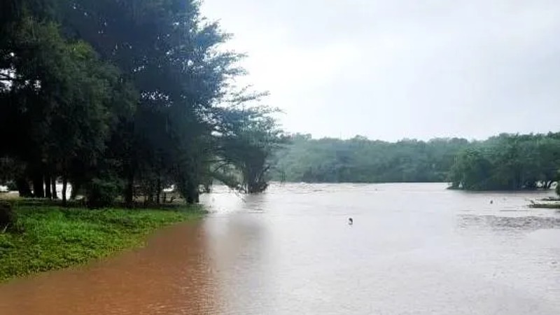 Mother survives floods by clinging to a tree, search on for 5-year-old boy