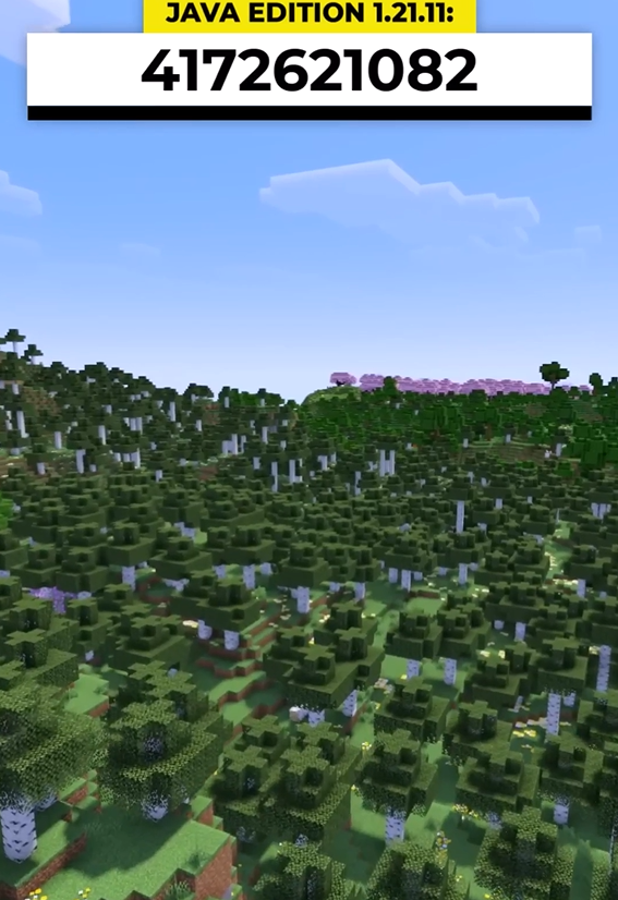 Minecraft seed with nearly every biome near spawn | Exploration ...