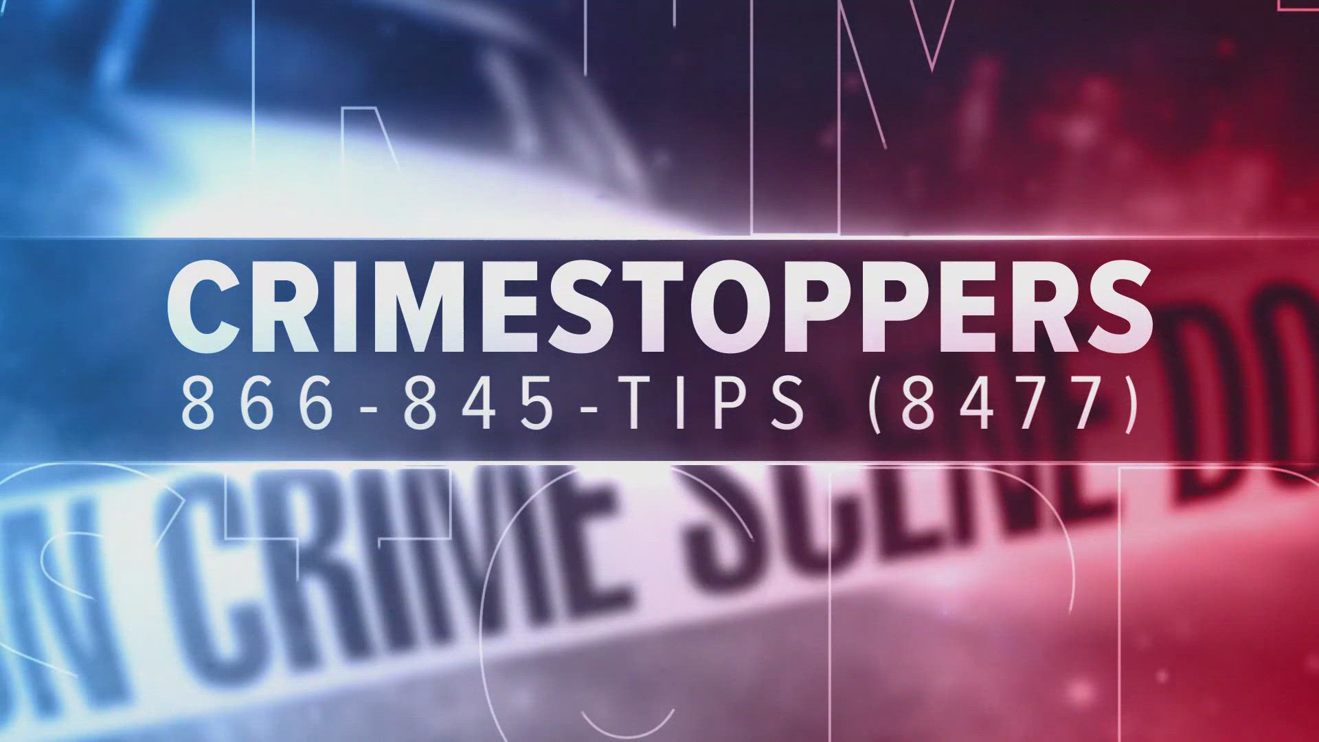 Jacksonville homicide investigating after two men found dead in Springfield