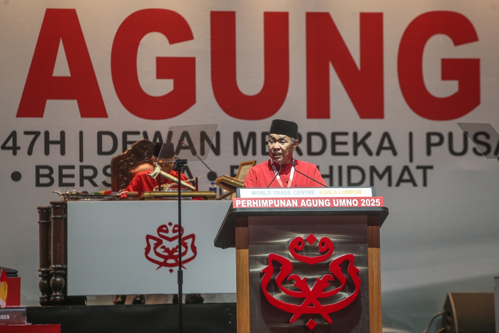 ‘Umno not just curry leaf’: Zahid calls for BN rebranding, cautions ...