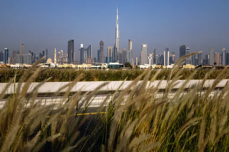 KT must-reads: A dog rescue, planned Indian flight disruptions, and a ...