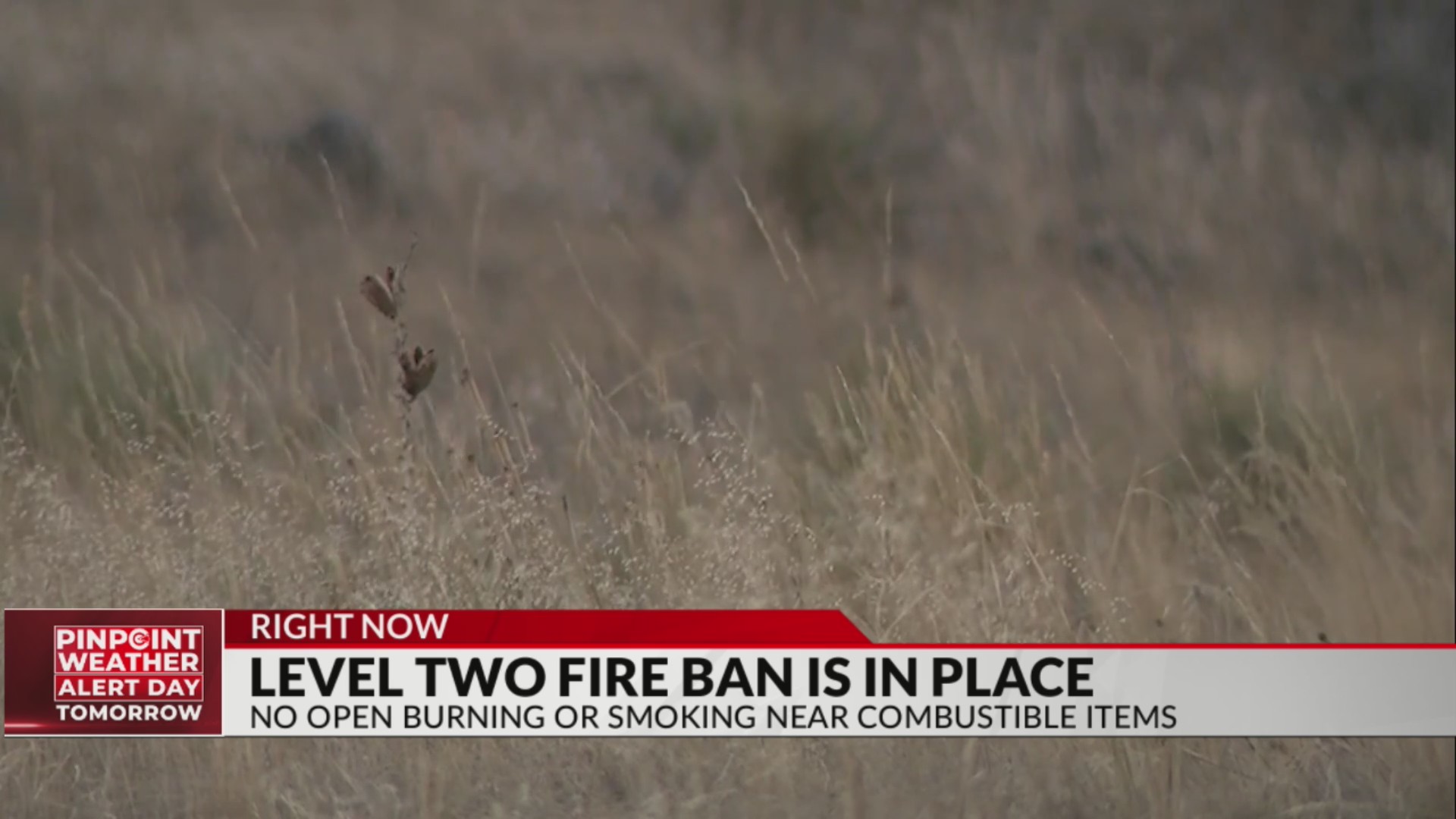 Level 2 fire ban in effect amid high winds
