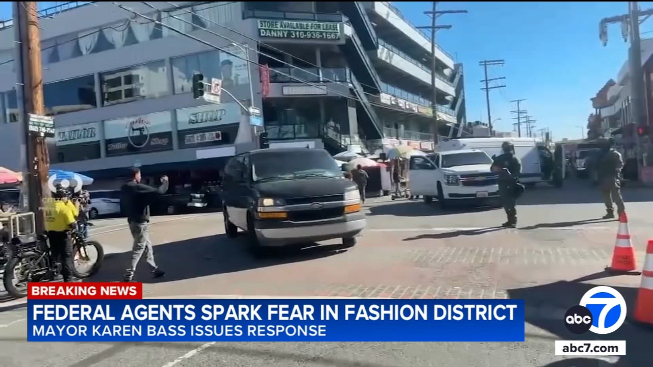 Federal agents swarm LA's Fashion District, spark fear among workers