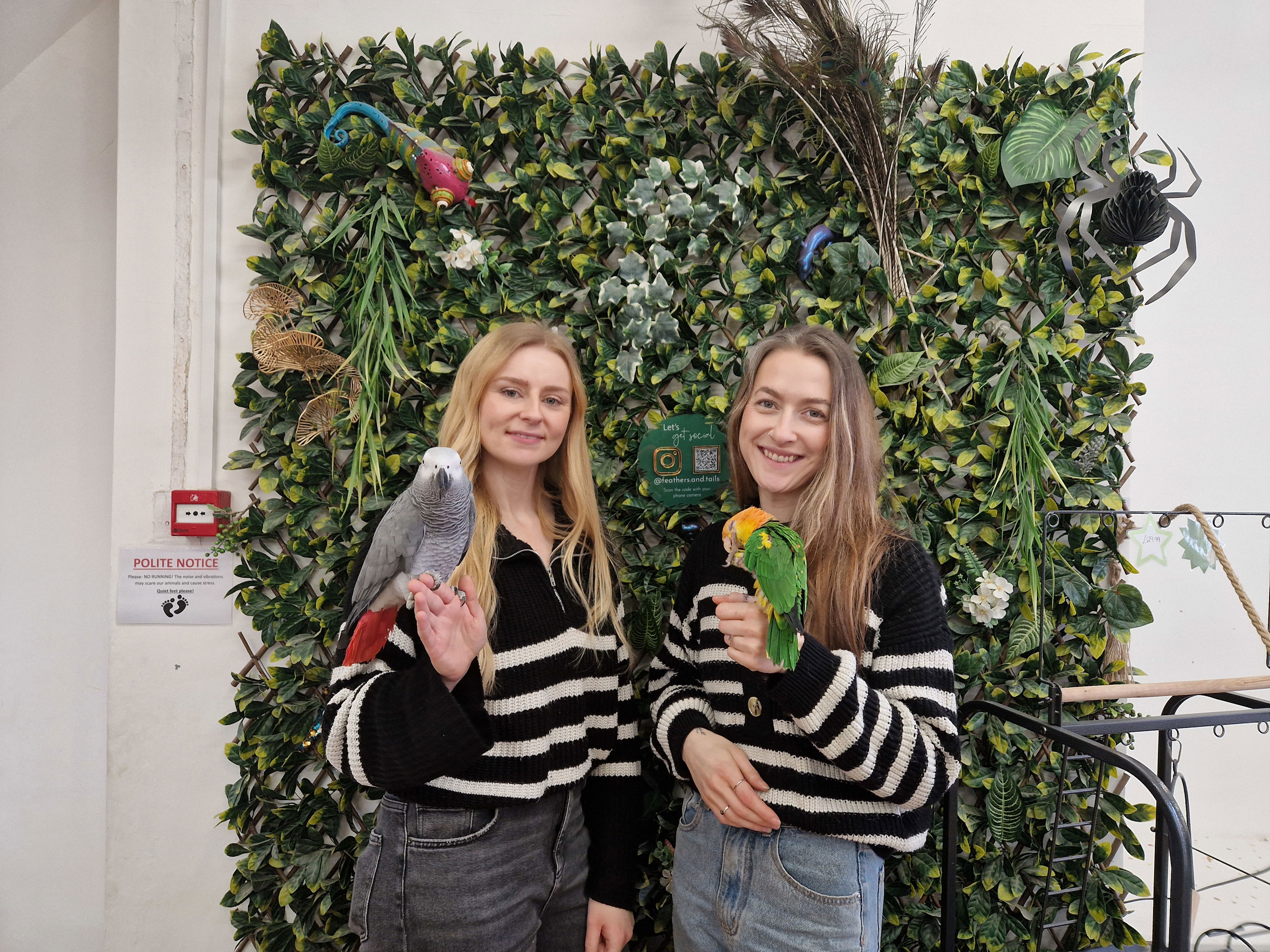 'We're crazy bird people': Meet the duo helping parrots find new homes