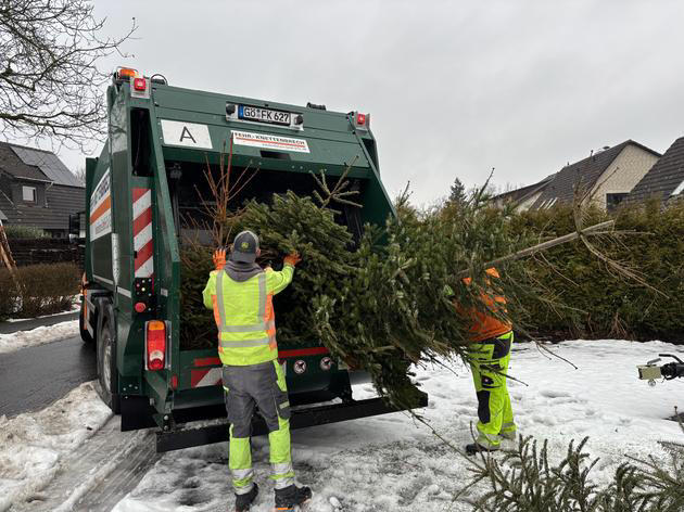 Vom Wohnzimmer auf den Acker – was passiert mit unseren Weihnachtsbäumen?