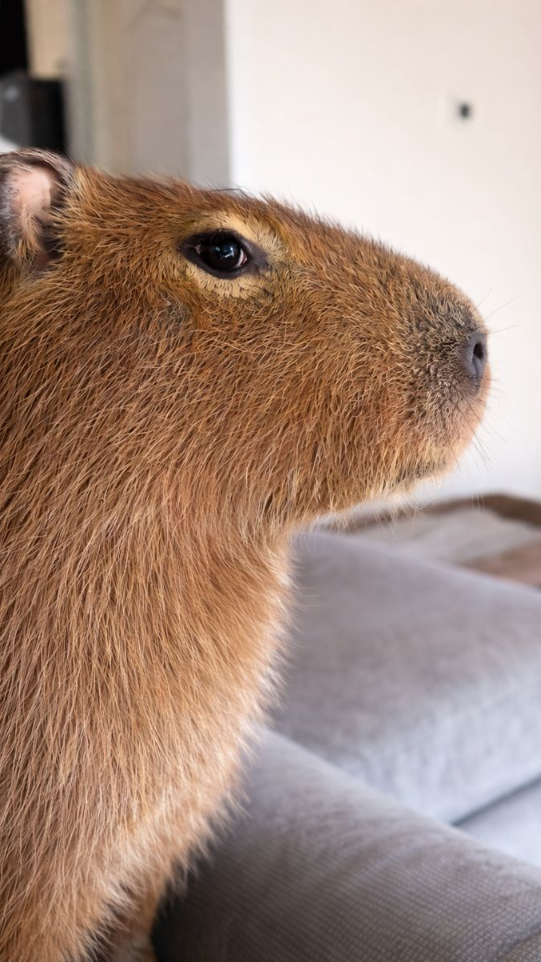 She laughed... was the dad joke actually good?