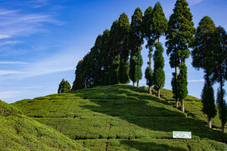 Inspired by Bollywood? Explore these iconic film locations around the ...