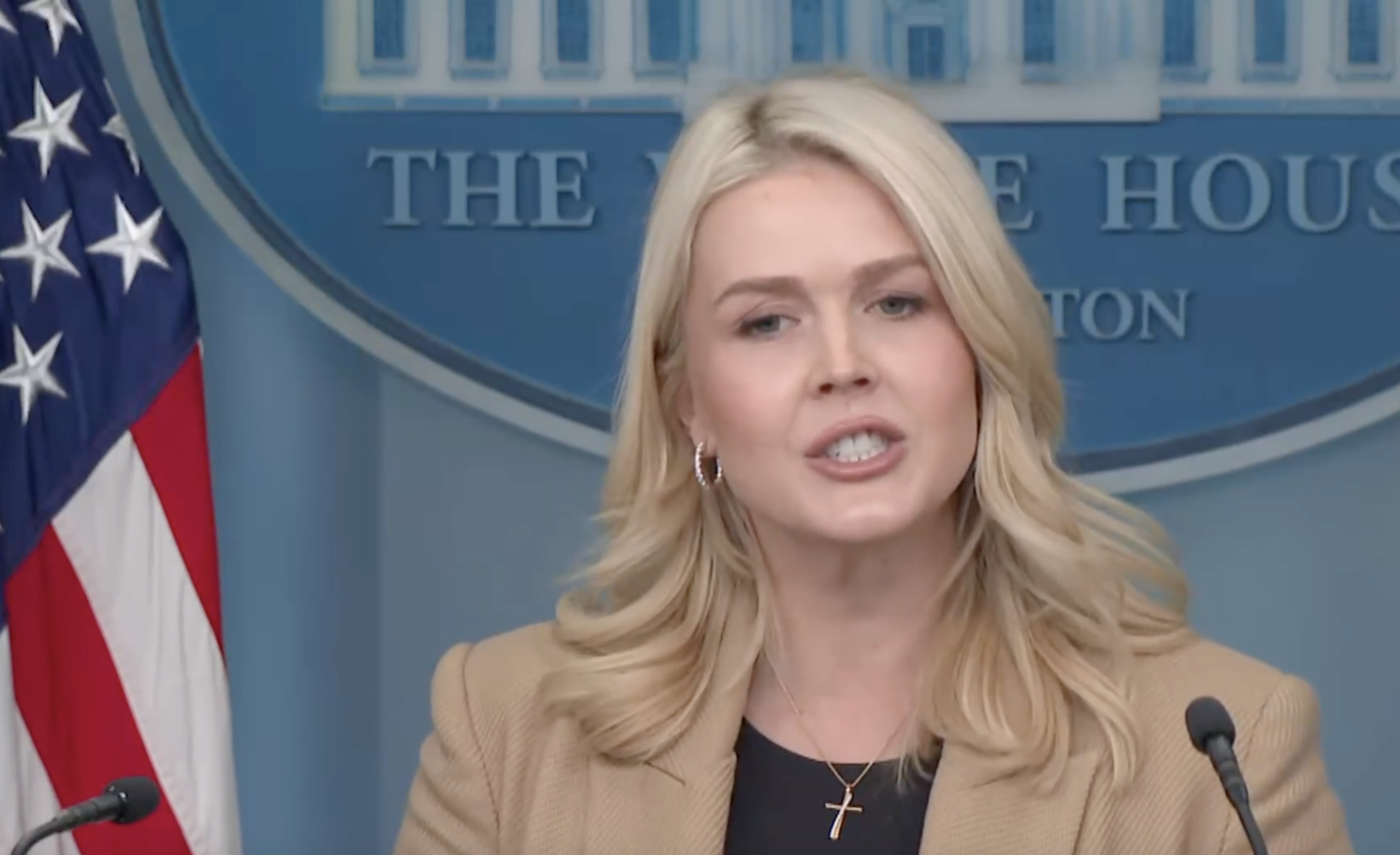 'You shouldn't even be sitting in that seat!': Karoline Leavitt throws ...