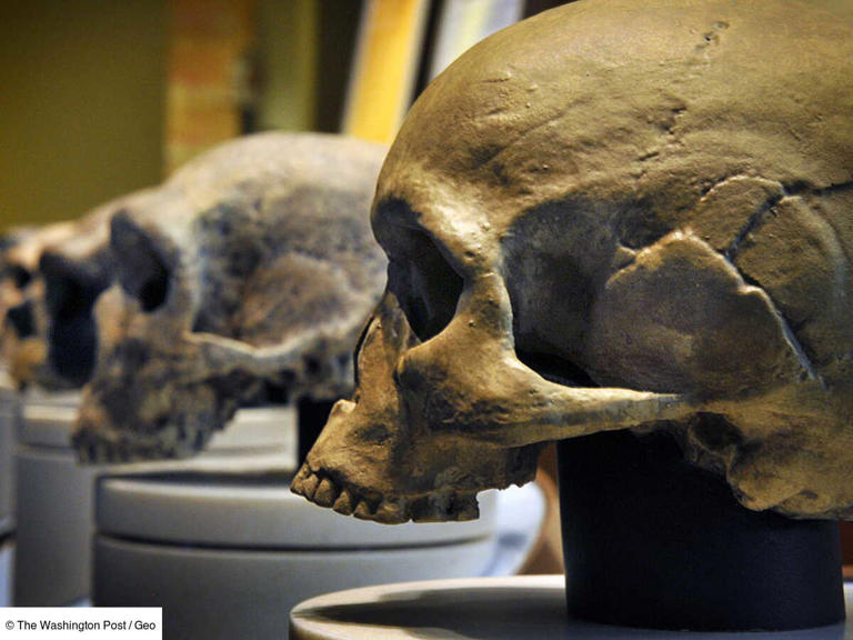 Les ancêtres des Amérindiens, navigateurs avant l'heure ? Comment les ...