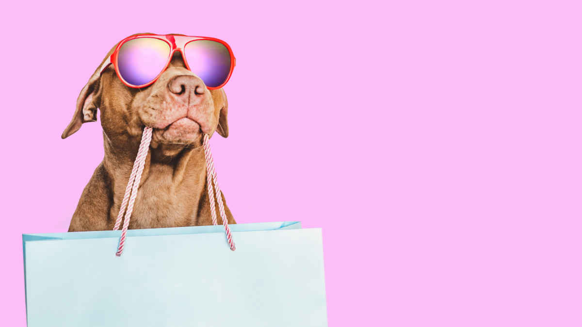 The seven best (and cheapest) shopping destinations for bargain-hunters