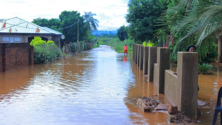 Limpopo dams at critical levels as heavy rains trigger rising river ...