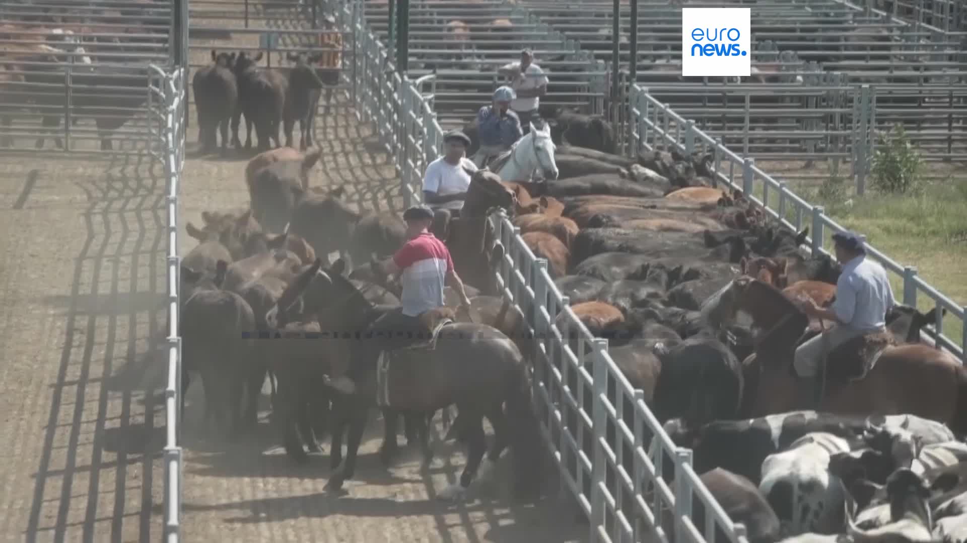 Argentine farmers look forward to the EU and Mercosur agreement