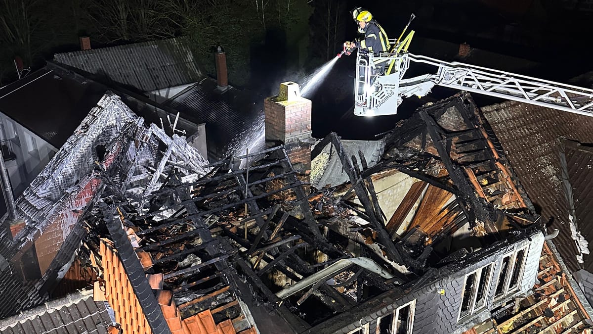 Brand zerstört Wohnhaus – vier Katzen sterben