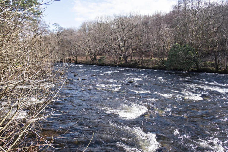 Finistère : vigilance orange crue ce vendredi, l'Odet particulièrement ...
