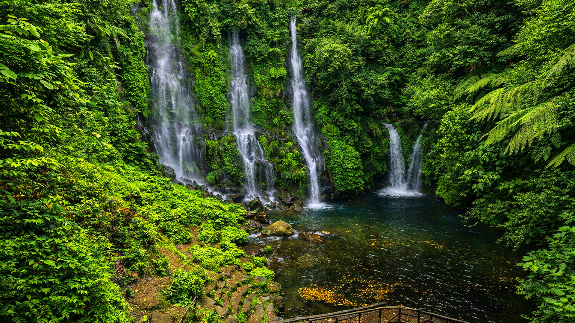 A hidden waterfall surrounded by jungle