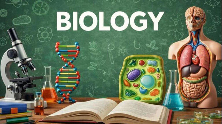 Preparing for NEET UG 2026? Here are 20 must-practice biology PYQs