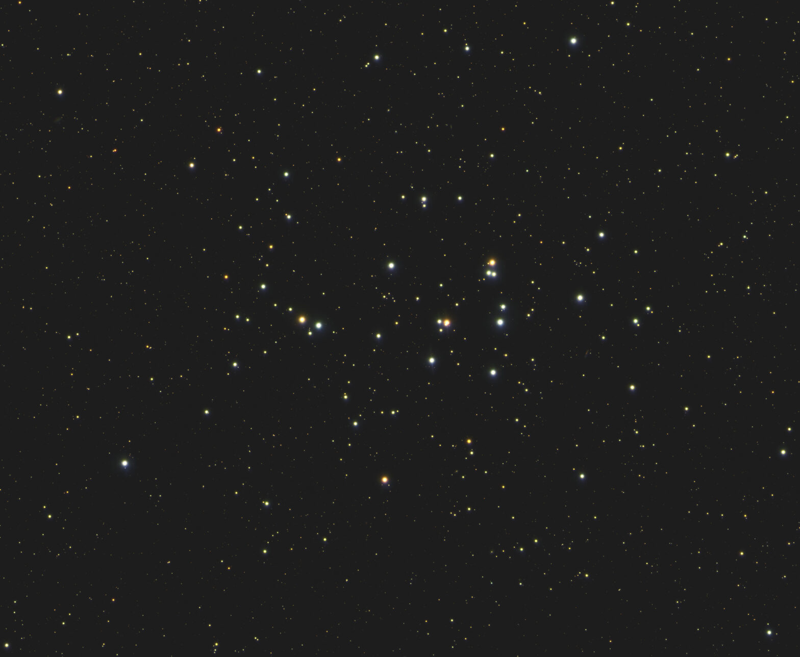 The sky today on Friday, January 16: Buzz the beehive