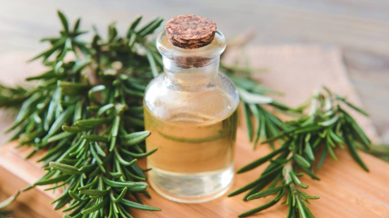 Rosemary water vs. minoxidil: What actually grows hair?