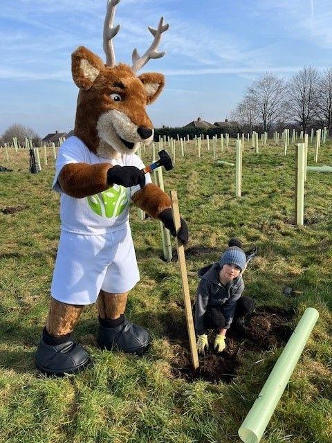 Mansfield Building Society children’s accounts back Sherwood Forest ...