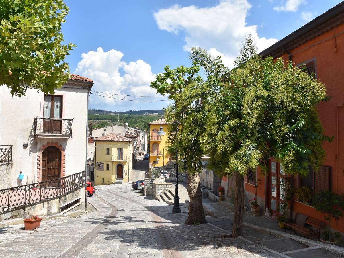 Il richiamo della foresta che cammina: l’imperdibile Carnevale di ...