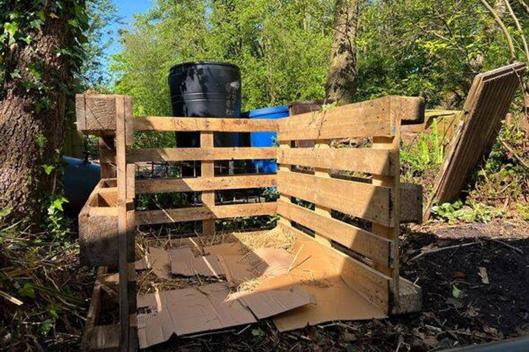 Keep weeds at bay without harsh chemicals with method loved by gardeners