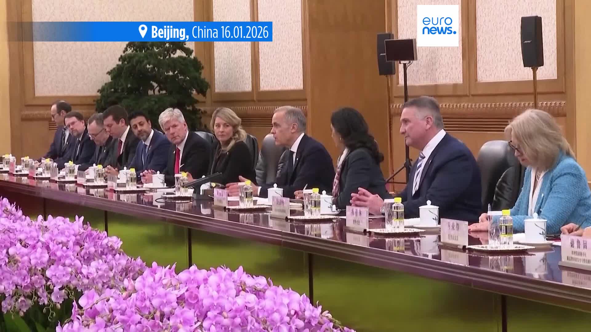 Canada PM Mark Carney hails strategic China partnership in Beijing ...