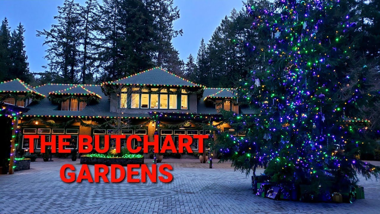 Magical Christmas lights & afternoon tea at Butchart Gardens | Holiday ...