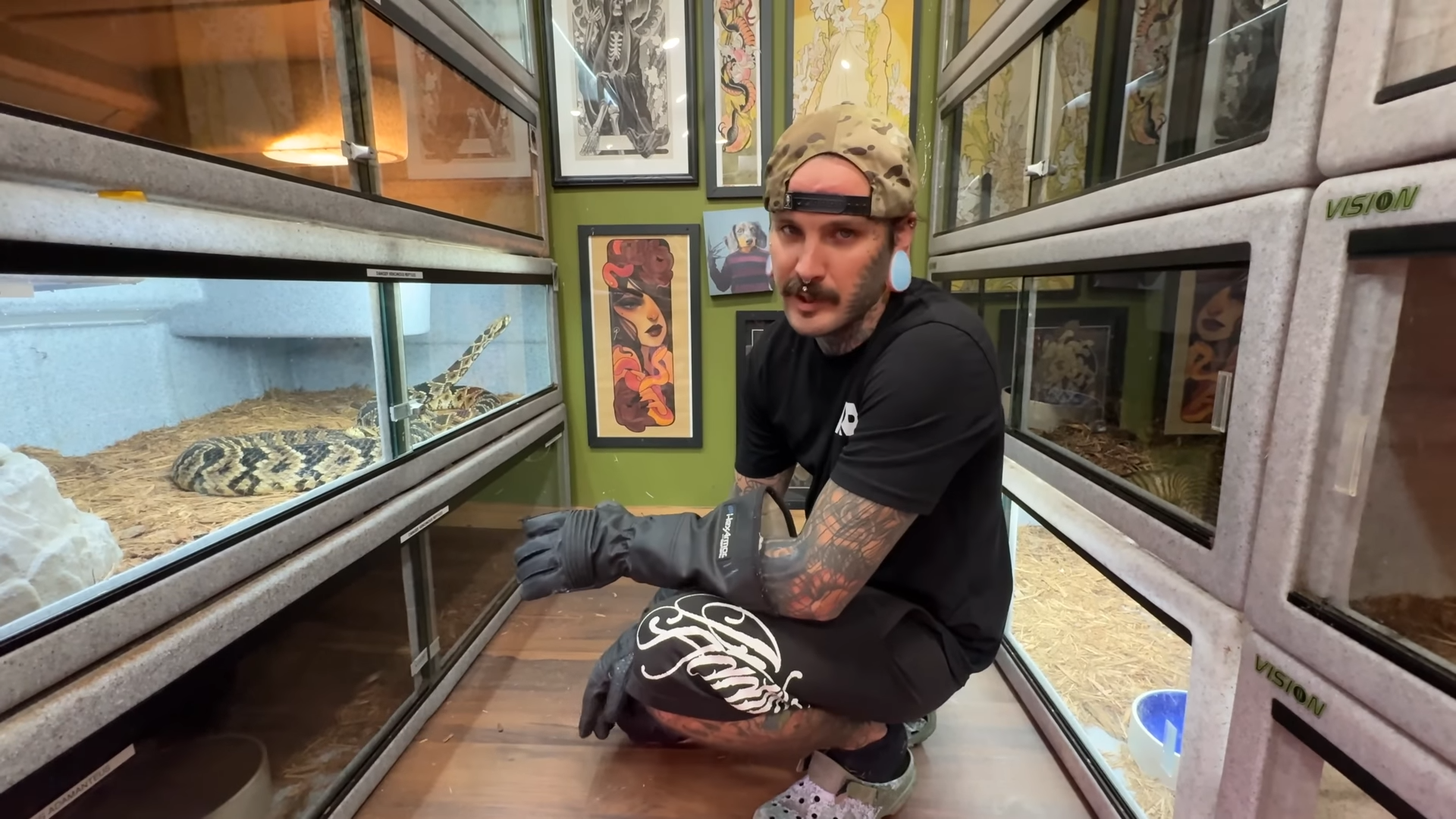 When a new arrival changes the entire dynamic of the room