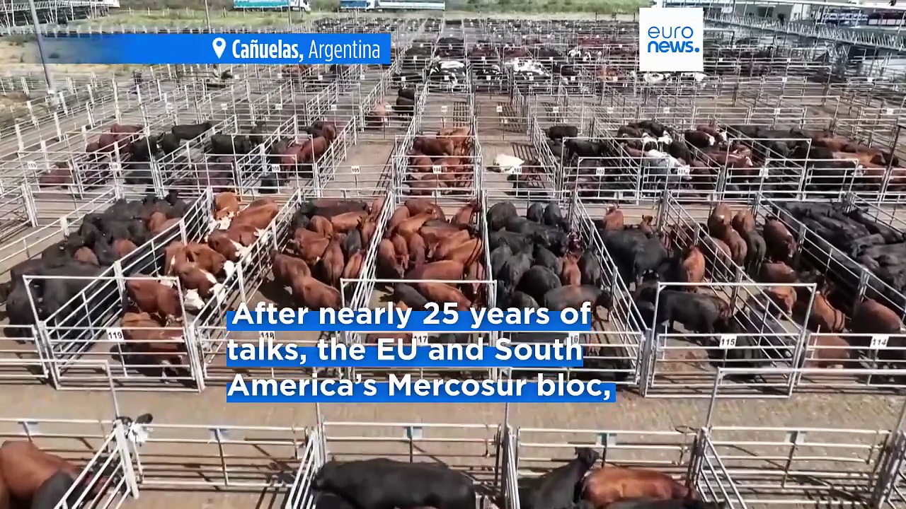 Argentine farmers look forward to the EU and Mercosur agreement