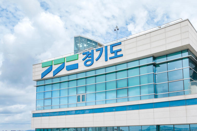 Democratic Party representative Choo Mi-ae draws backlash for 'second ...