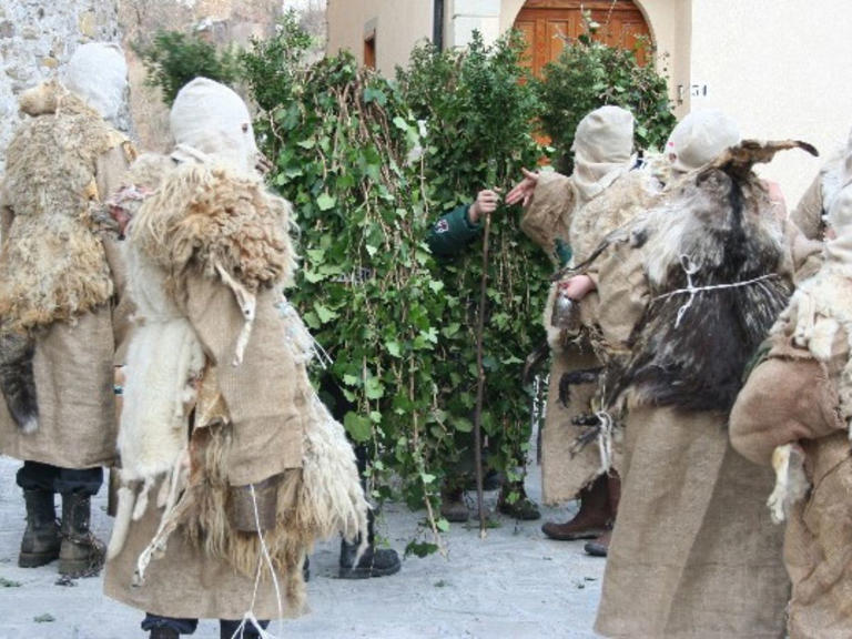 Il richiamo della foresta che cammina: l’imperdibile Carnevale di ...