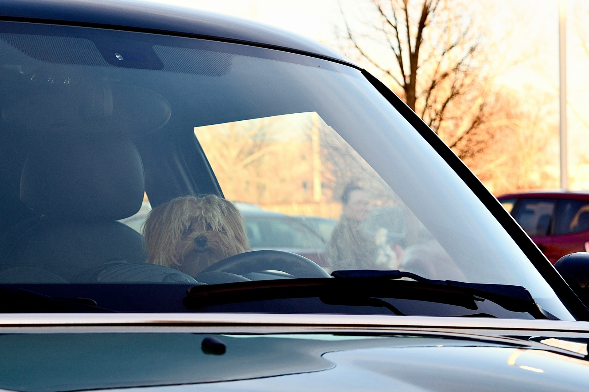 Explore the planet's most bizarre automotive laws