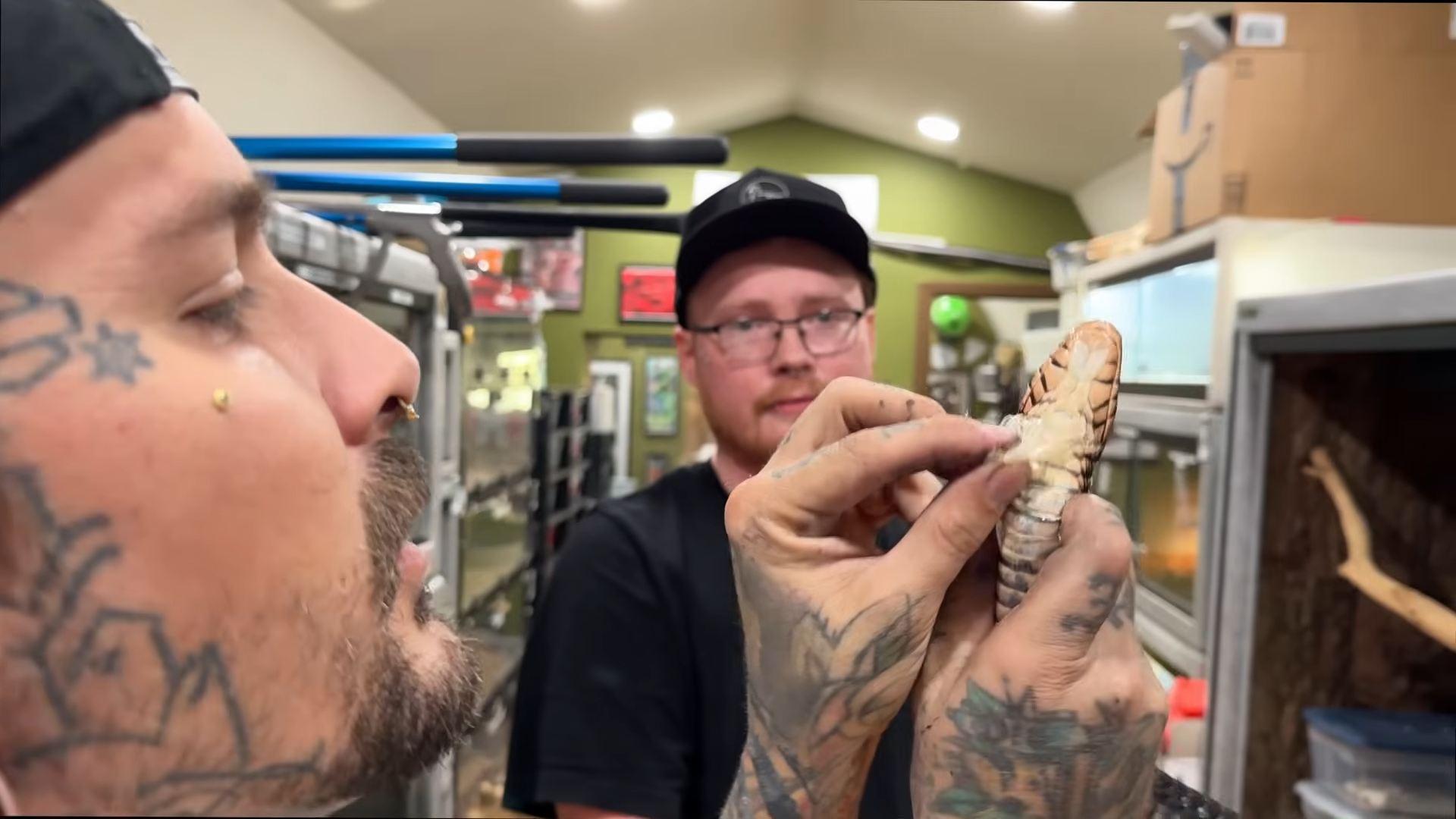 Why space became the most important upgrade of all