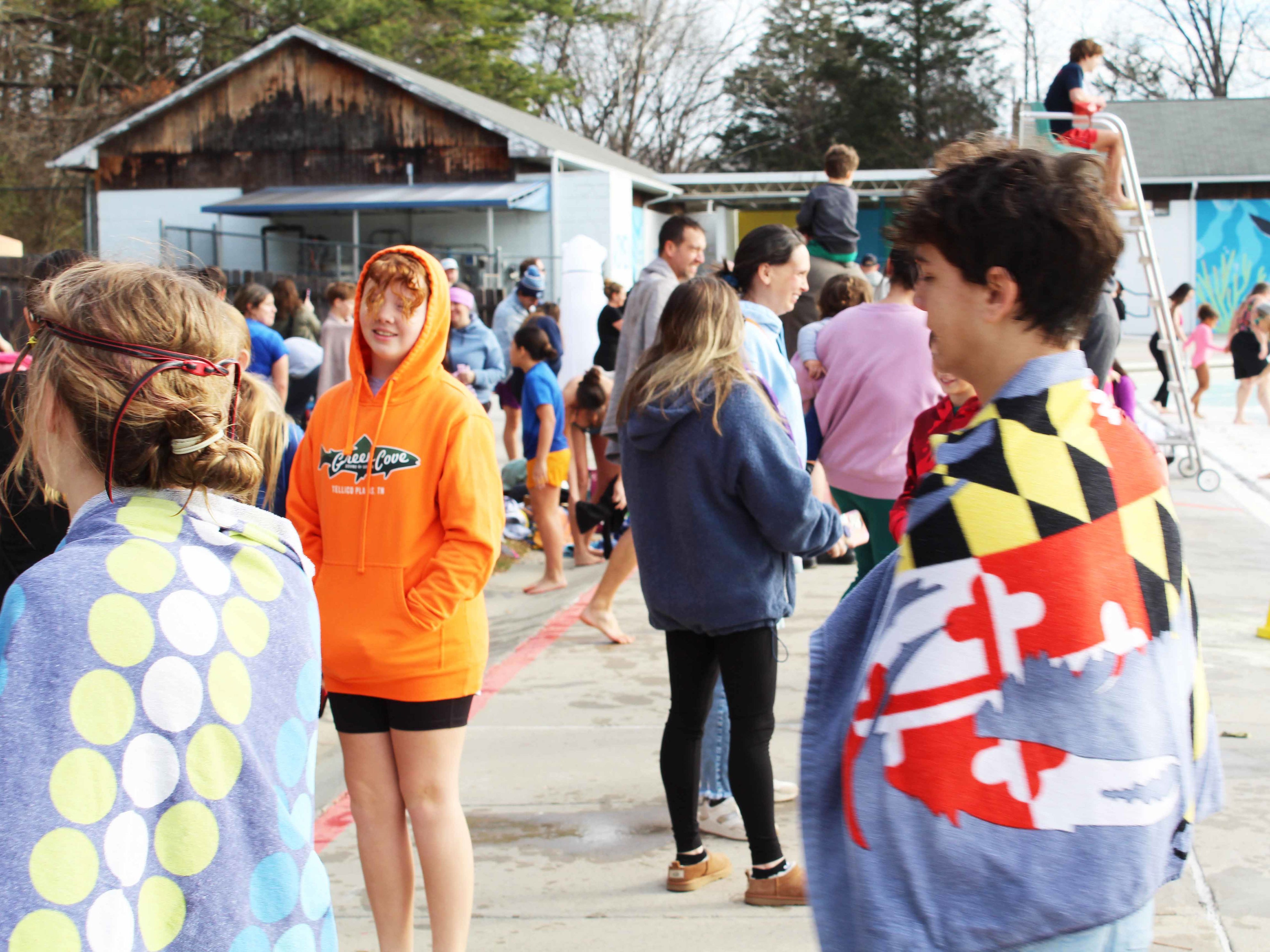 Polar plunge at the Oak Ridge pool