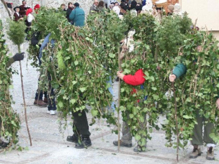 Il richiamo della foresta che cammina: l’imperdibile Carnevale di ...