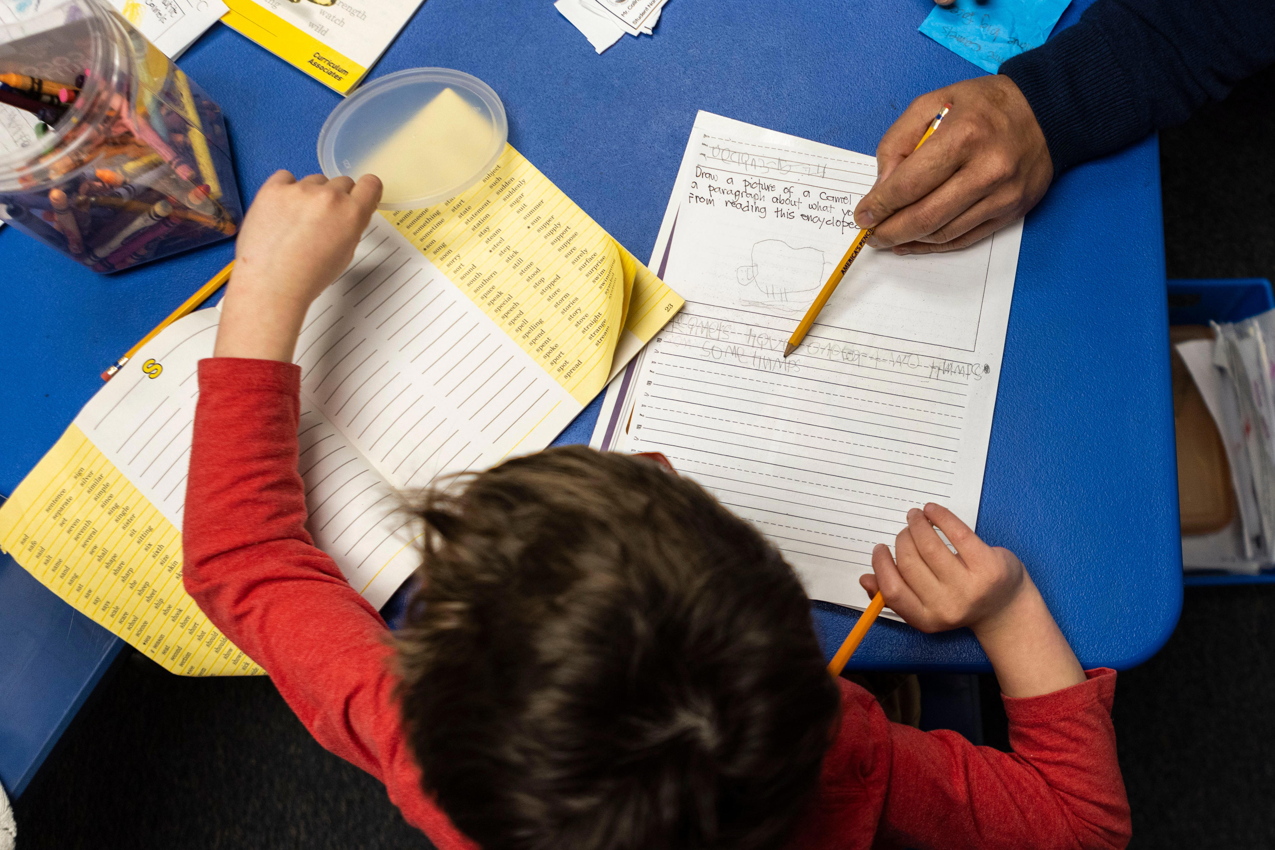 Jones‑Farrar opens interest form for 2026–27 IB admissions