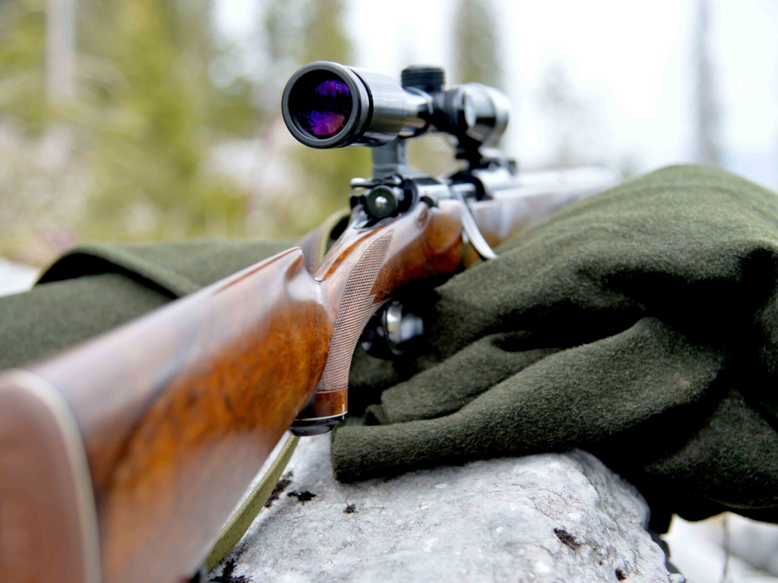 Steirischer Jäger erschoss Hund statt Fuchs