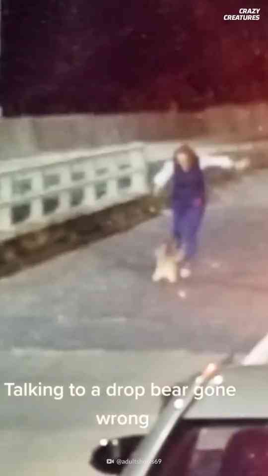 How tourists became targets of a shared national prank