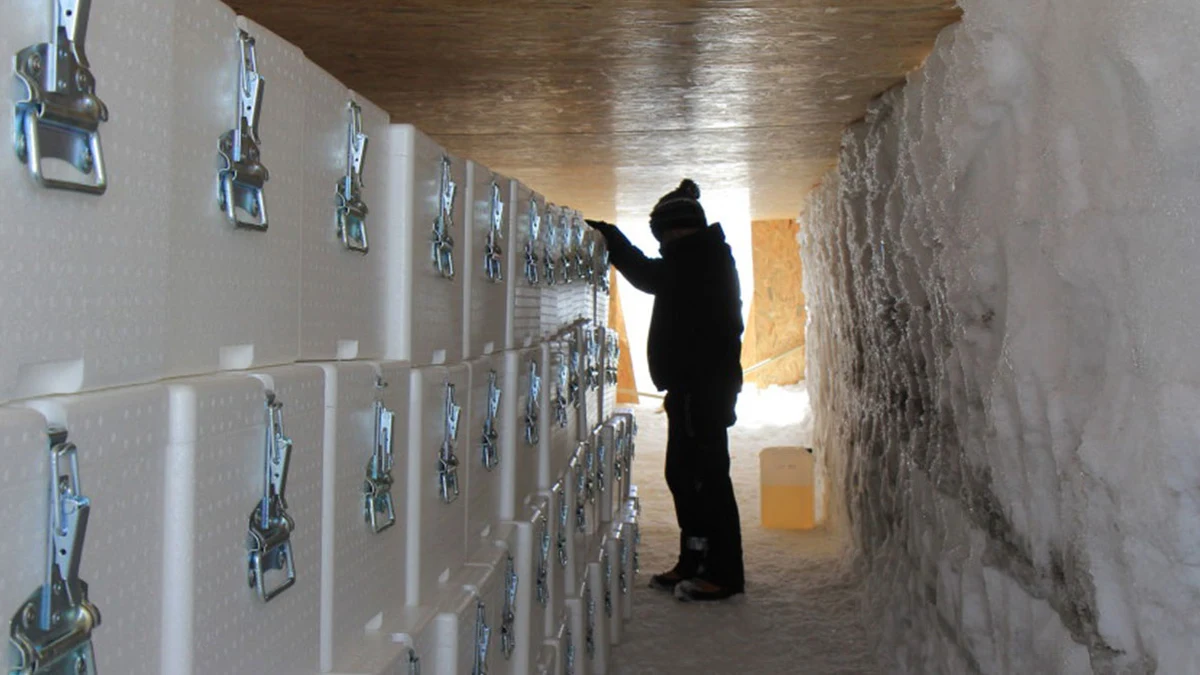 La bóveda de los climas pasados: la "caja fuerte del cambio climático"