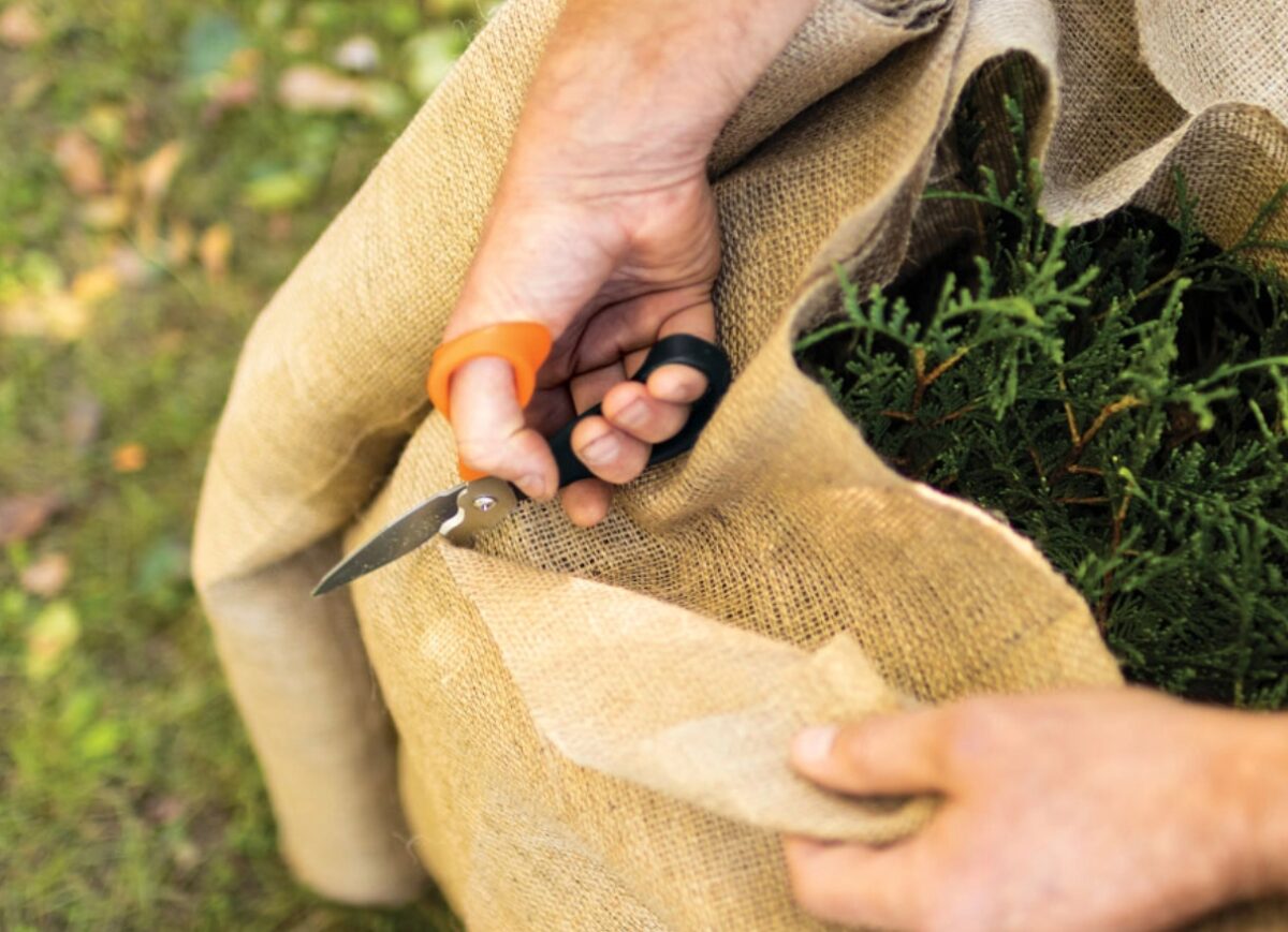 La primavera è più vicina di quanto pensi: le offerte OBI per il ...
